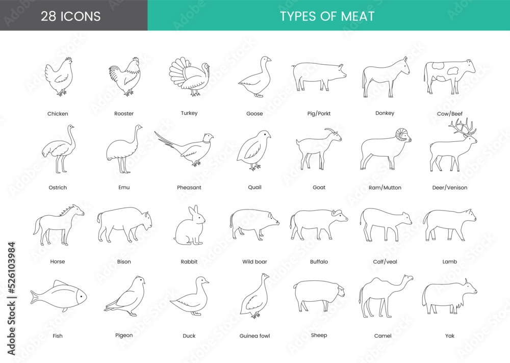 Icons of poultry meat and farm animals, vector illustration of the line ...