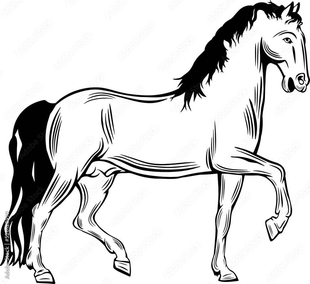 Horse trotting forward, outline vector illustrations design Stock ...