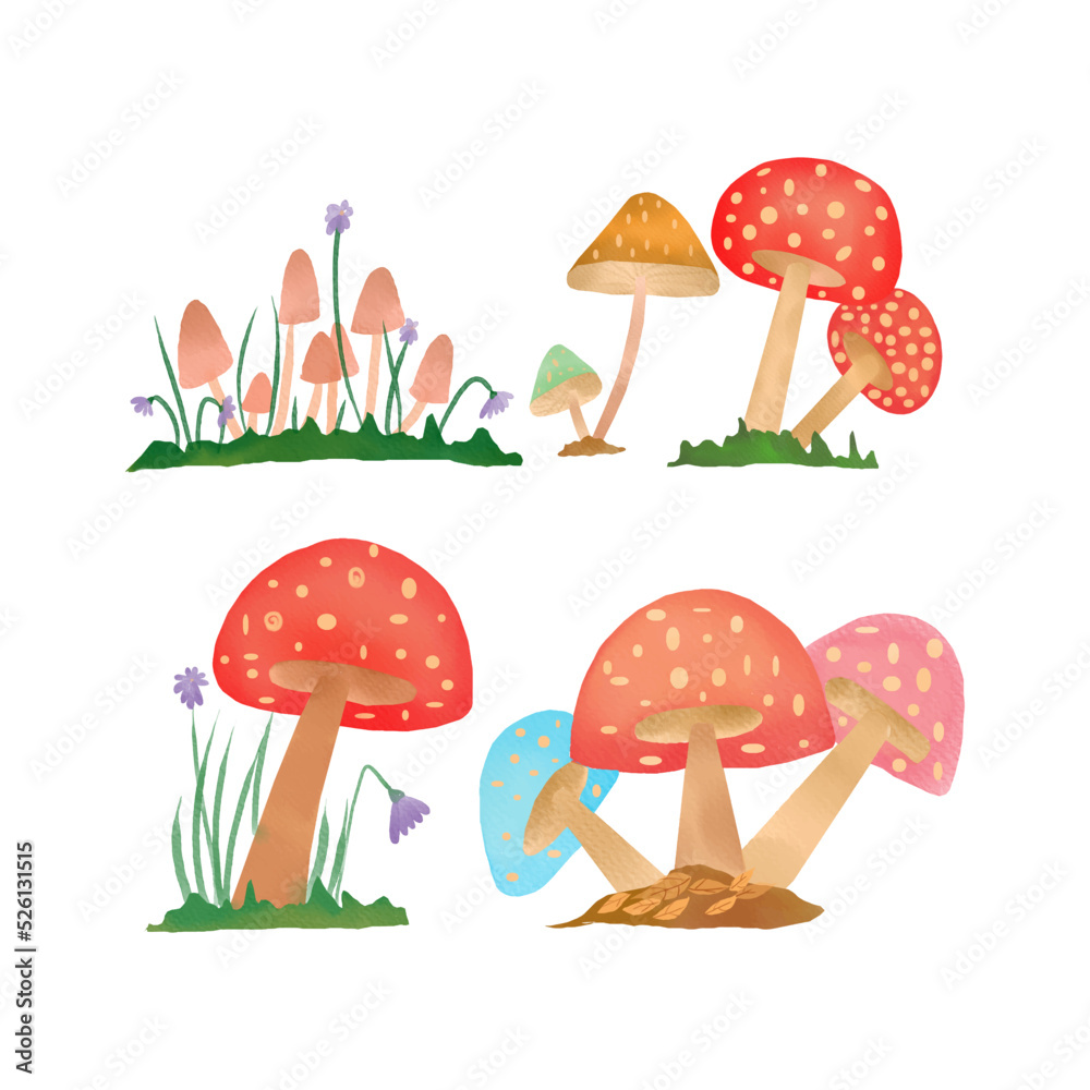 Watercolor Mushroom Woodland Clipart Set Stock Vector | Adobe Stock