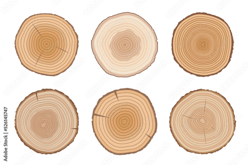 Set of tree cross sections. Wooden elements with tree rings.Isolated on ...