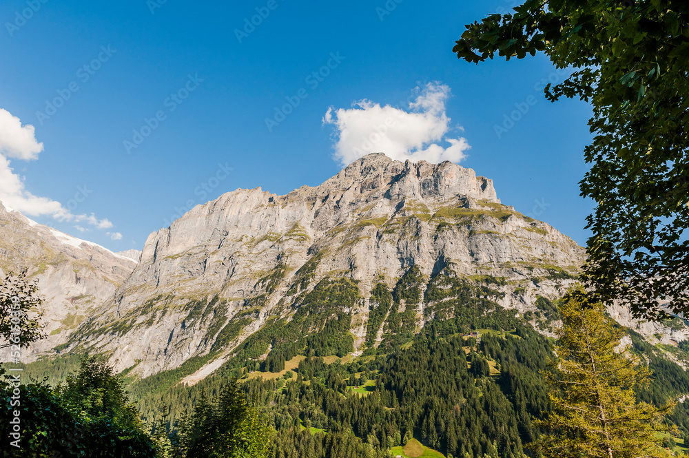 Foto de Grindelwald, Schreckhorn, Pfingstegg, Mettenberg, Unterer ...
