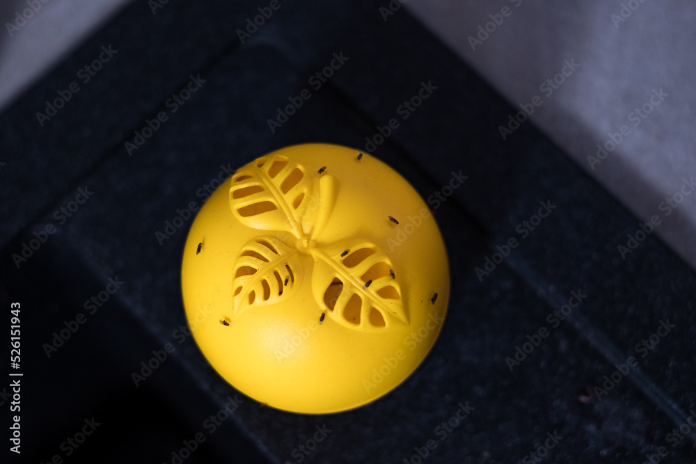 Reusable apple shaped fruit fly trap filled with liquid. Trap for small ...