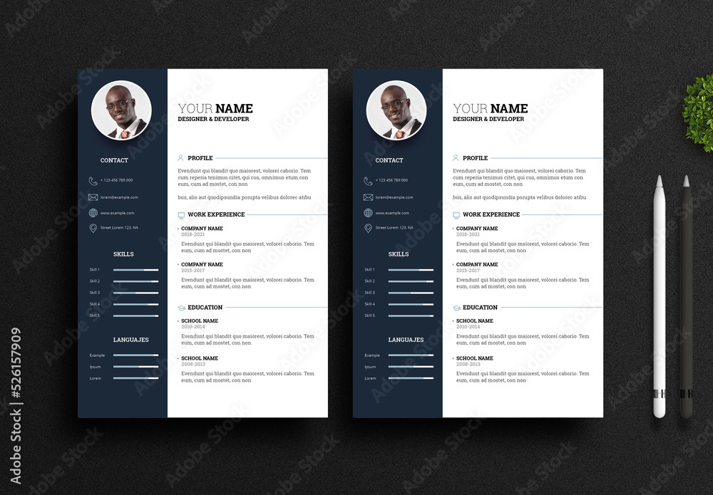 Creatie Resume Layout Stock Template | Adobe Stock