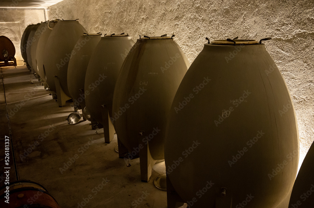 Stages of wine production from fermentation to bottling, visit to wine ...