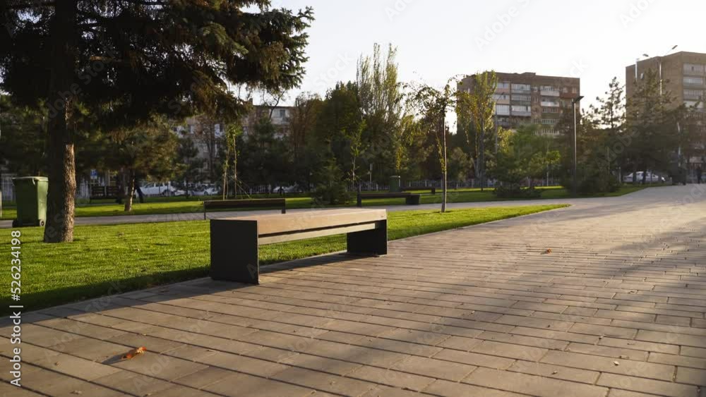 Modern wooden benches on the lawn in the park. Stylish new bench in ...