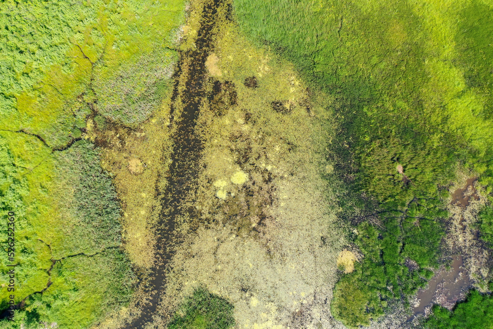 Grass Wetland Aerial