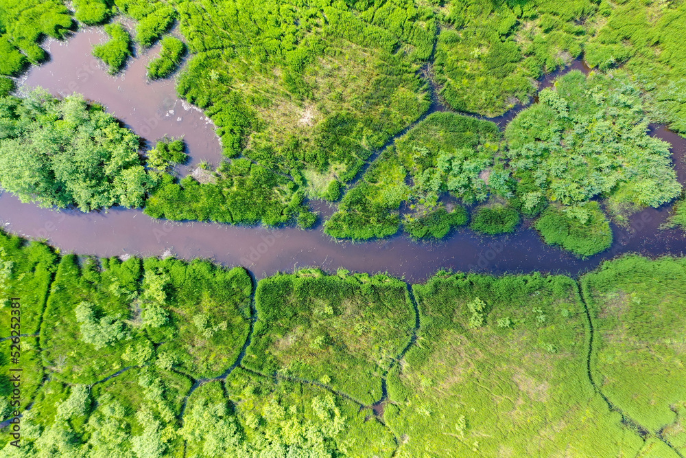 Aerial top down view of green grass and water in marsh wetland Stock ...