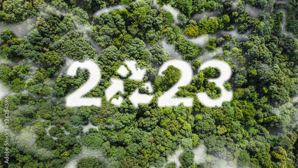 Clouds in the numbers 2023 Greenery tree bird's eye view Environment ...