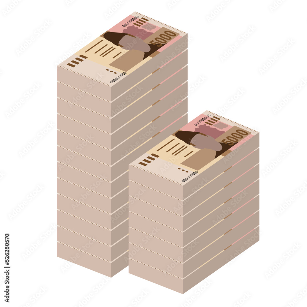 Pakistan Rupee Vector Illustration. Pakistani money set bundle ...
