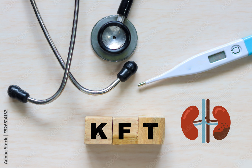 Kidney function test also known as KFT Stock Photo | Adobe Stock