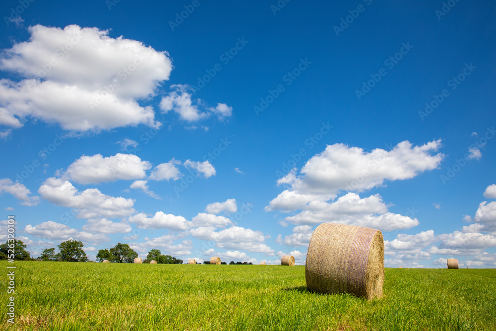 Meule de foin ou de paille dans un paysage de campagne au printemps ...