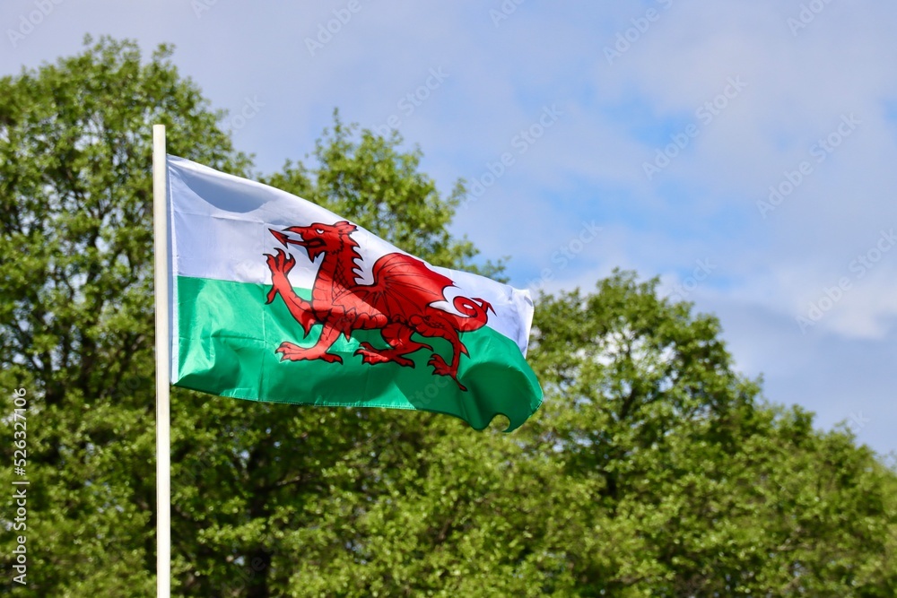 Wales flag - red dragon passant on white and green - bold and proud ...