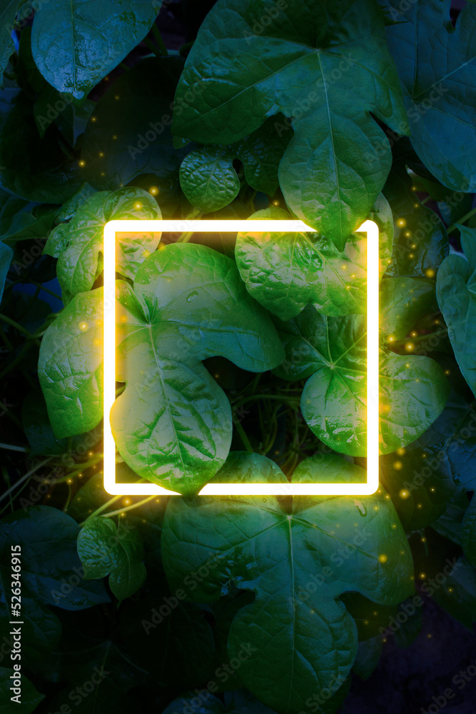 Creative stock layout with neon glowing golden frame on green palm ...