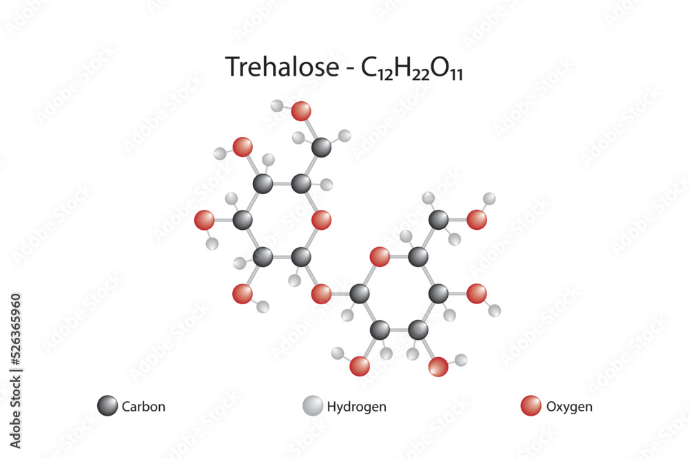 Molecular formula and chemical structure of trehalose Stock Vector ...