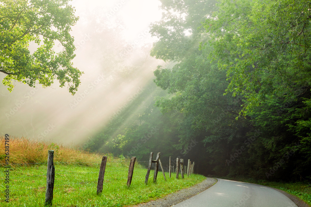 Light rays fall over a road in Cades Cove in the Smokies Stock Photo ...