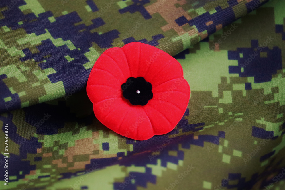 Red Poppy on the Canadian military uniform. Remembrance Day. Stock ...