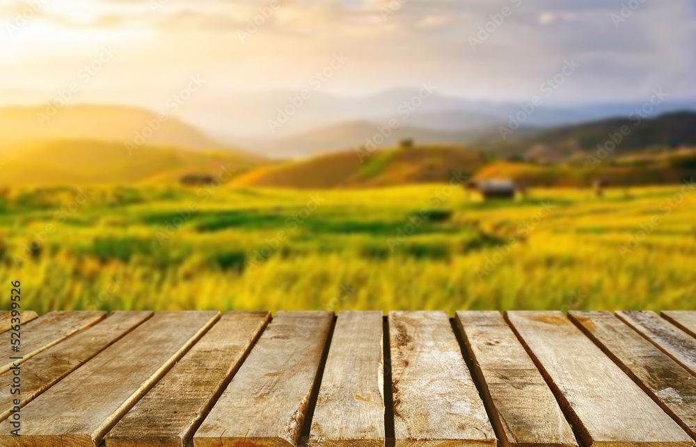 Wooden table top on blur rice field background in evening.Harvest rice ...