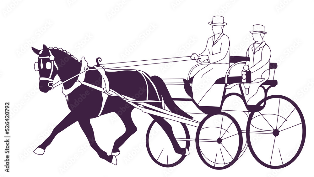 Equestrian sport, Combined driving, Beautiful horse with carriage. Old ...