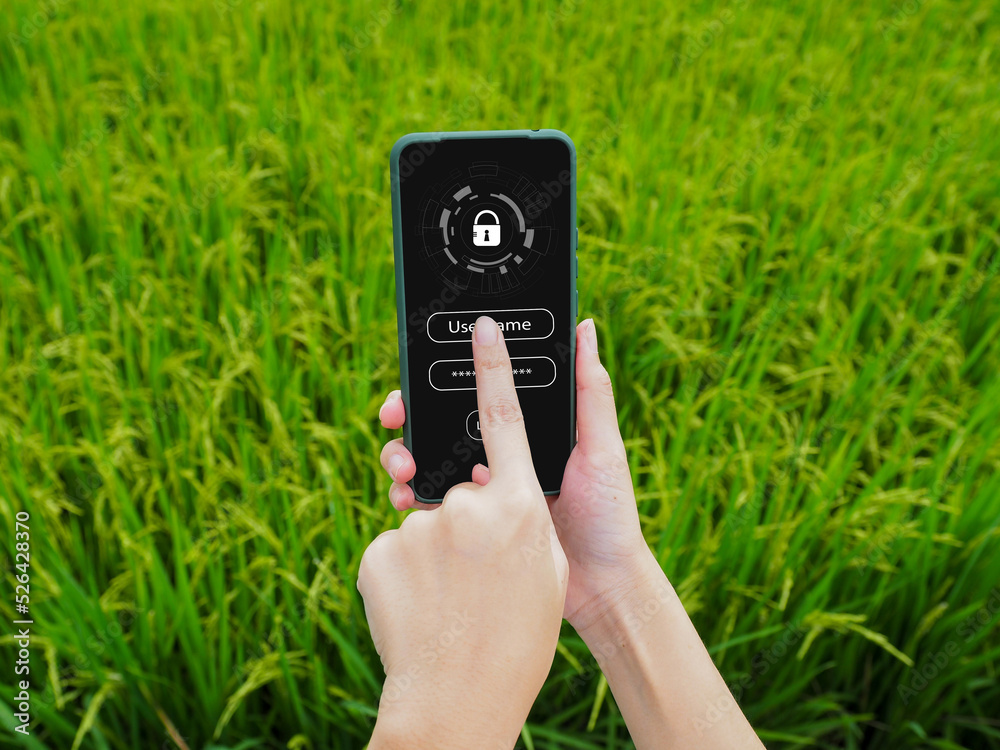 Hand of a girl entering the system digital format identity verification ...