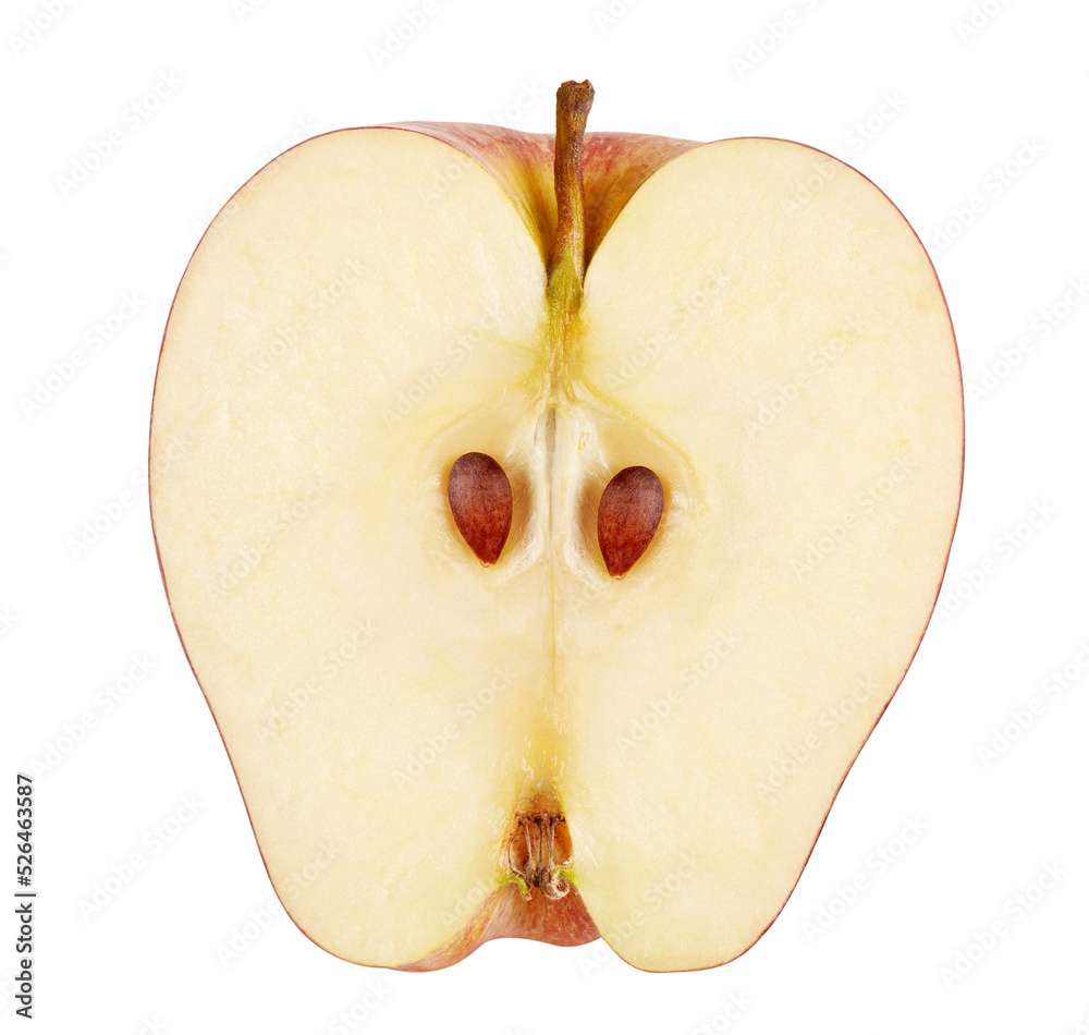 cross section of a red apple Stock Photo | Adobe Stock