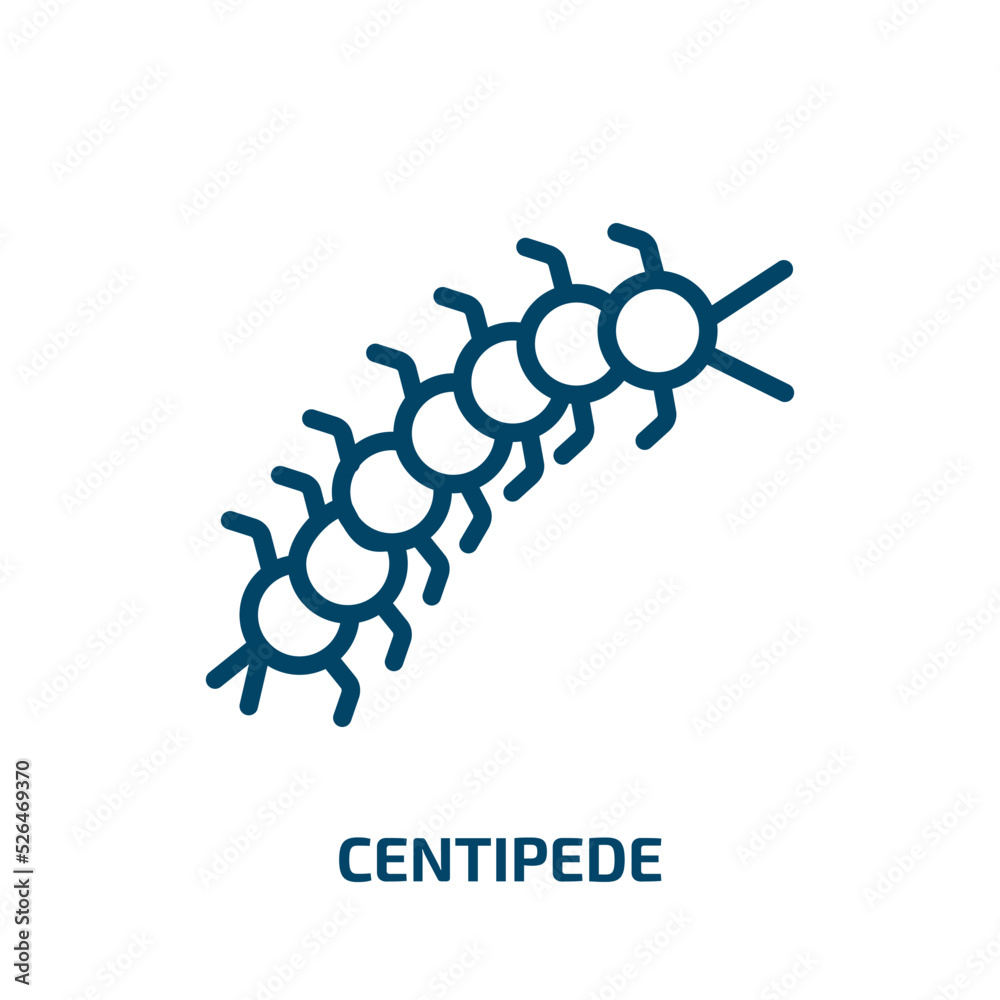 centipede icon from animals collection. Thin linear centipede ...