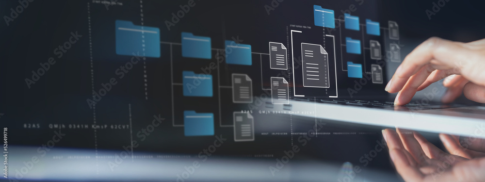 Document Management System (DMS) being setup by IT consultant working ...