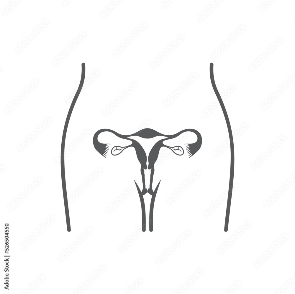 illustration of uterus, female reproductive organs. Stock Vector ...
