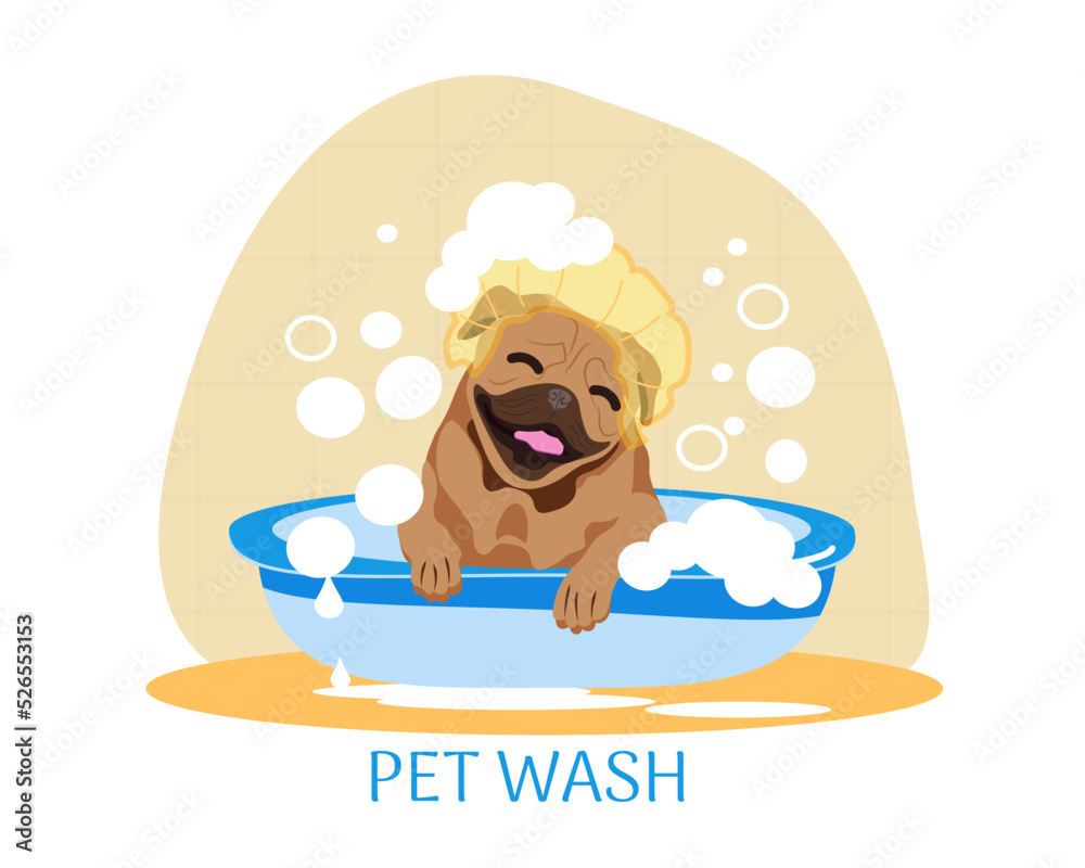 Dog Pug Pet in Bath Cap Washing in the Bath with Soap Foam in the ...