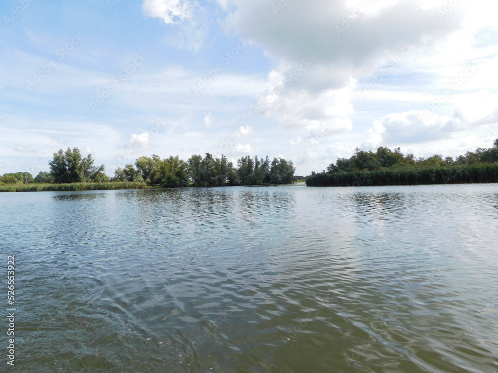 Foto de De Biesbosch National Park is one of the largest national parks ...