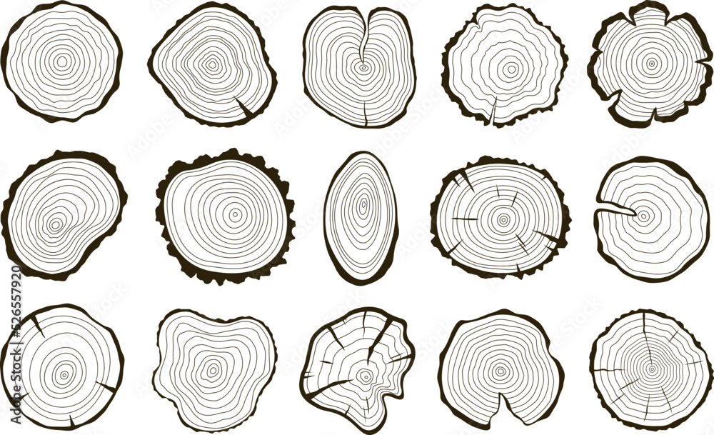 Wood trunk rings, circular stump wooden texture top view. Tree age ring ...