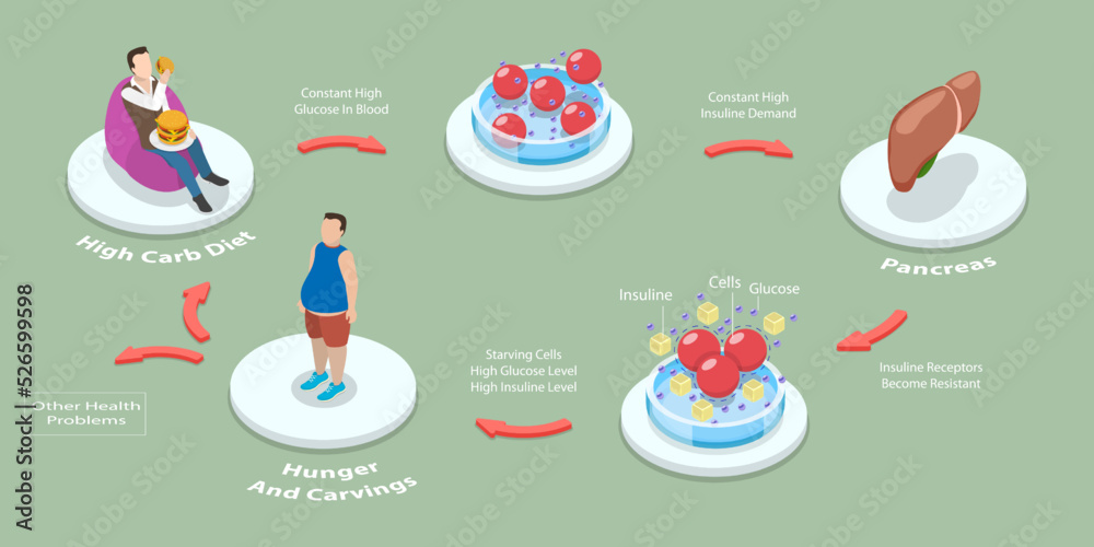 3D Isometric Flat Vector Conceptual Illustration of Insulin Resistance ...