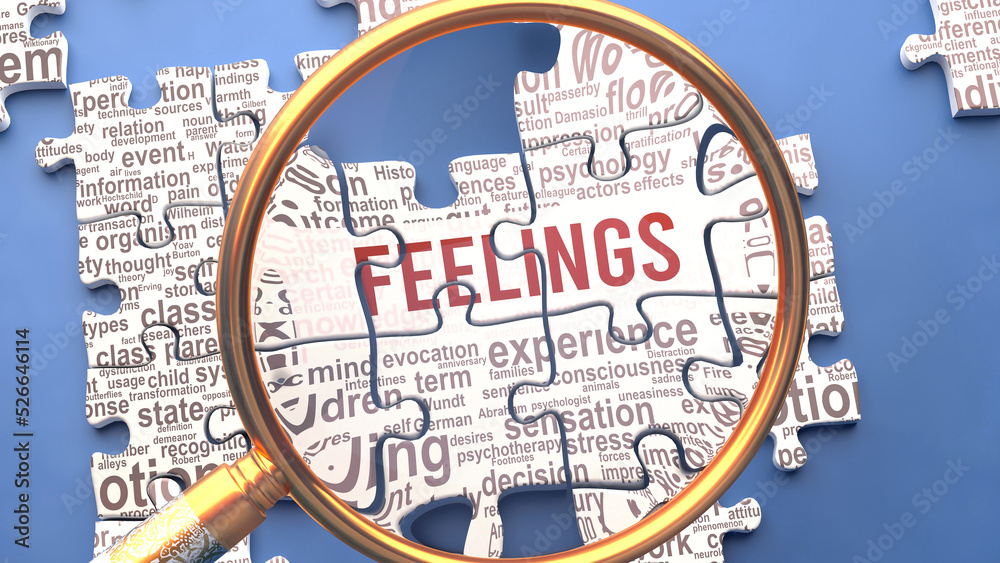 Feelings as a complex and multipart topic under close inspection ...