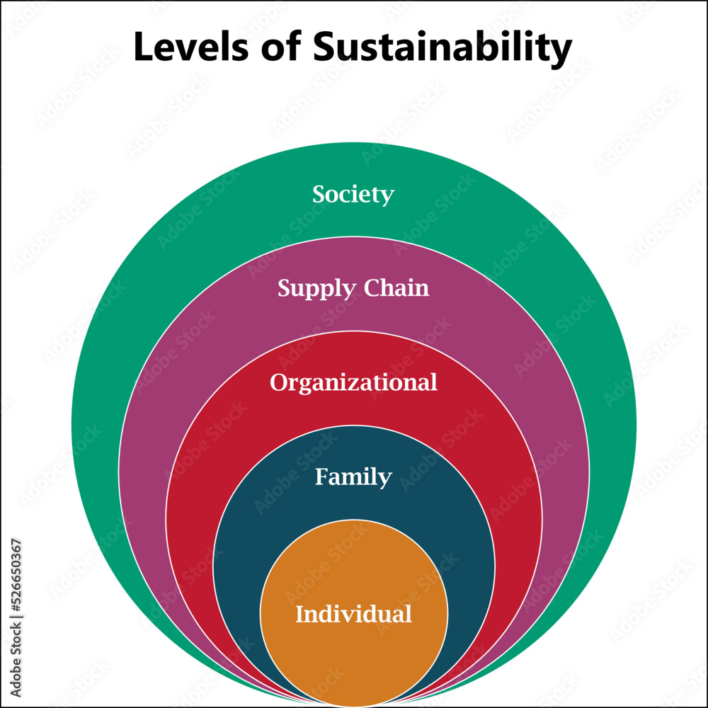 Levels of Sustainability in an Onion Infographic template Stock Vector ...