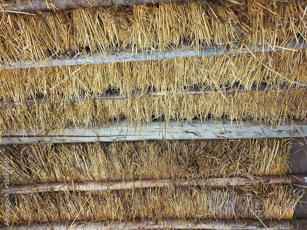 thatched roof of house inside view, texture straw background Stock ...