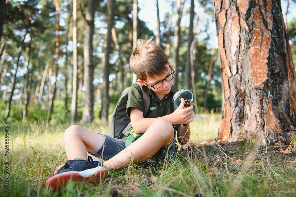 schoolboy is exploring nature with magnifying glass. Summer vacation ...
