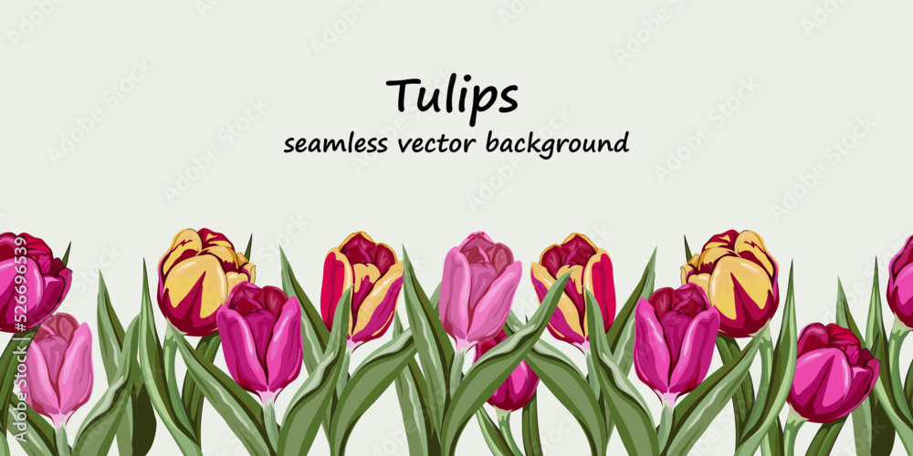 Seamless tulips flowers border hand drawn vector illustration isolated ...