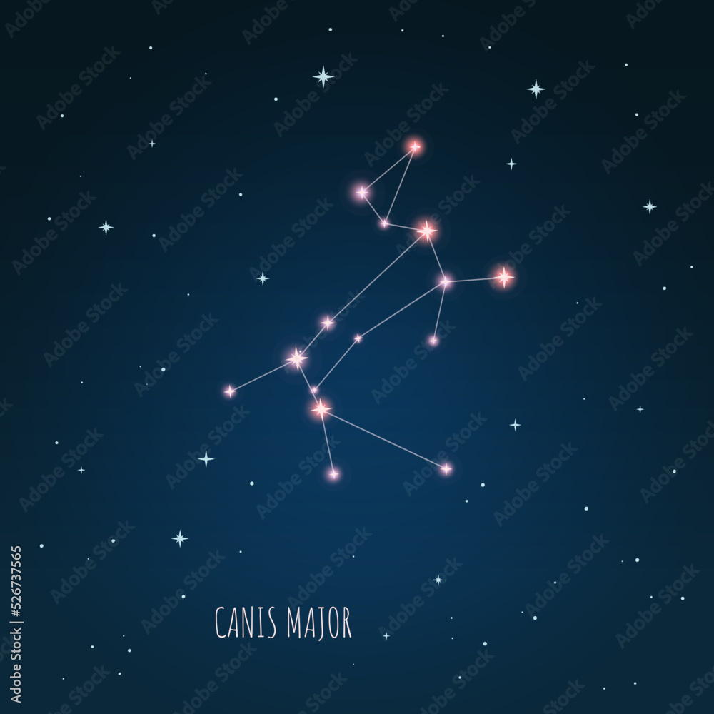 The constellation "Canis Major" star in the night sky. Astronomical Big ...