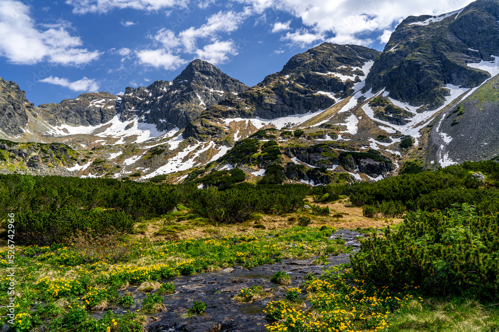 tatry, góry, karpaty, polska, słowacja Stock Photo | Adobe Stock