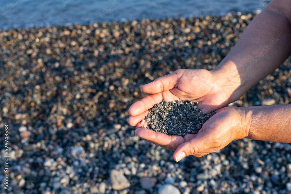 The girl holds in her hands pebbles from the beach with particles of ...