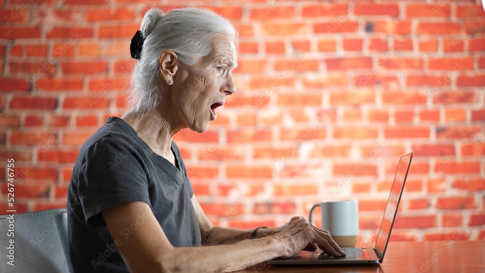 Caucasian elderly senior 60s, 70s business woman with laptop working ...