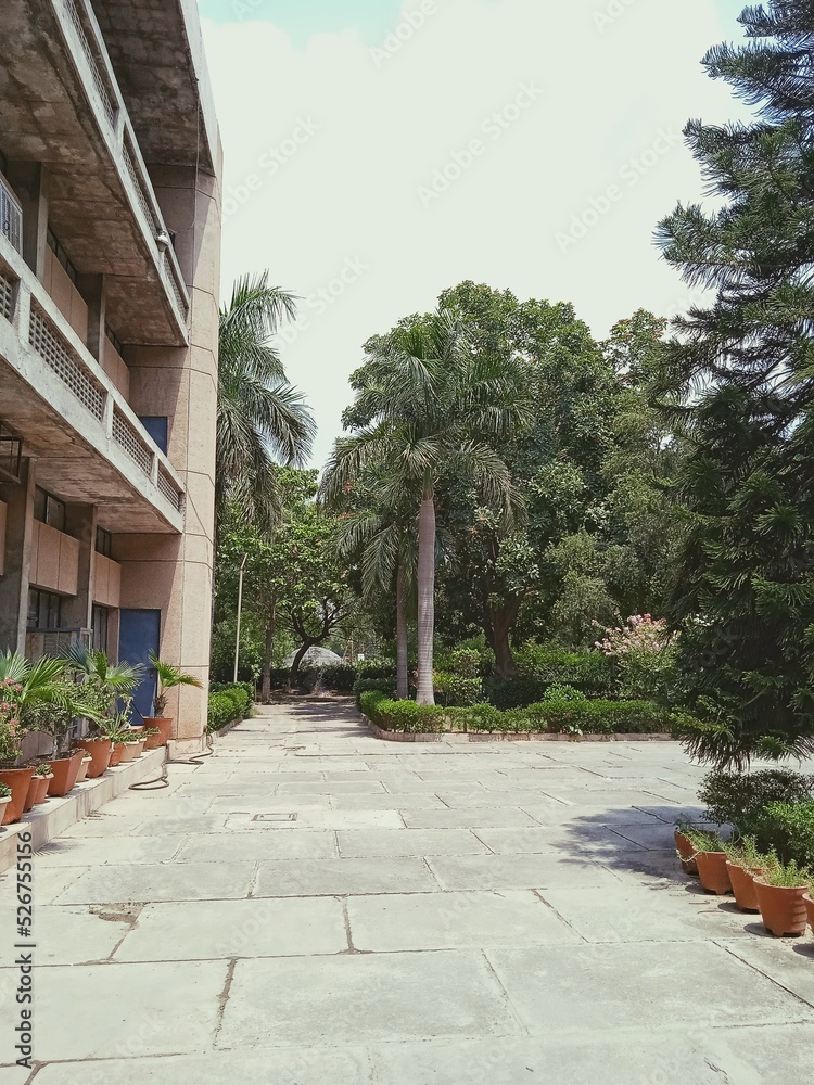 Landscape architecture design view with royal palms in front of a ...