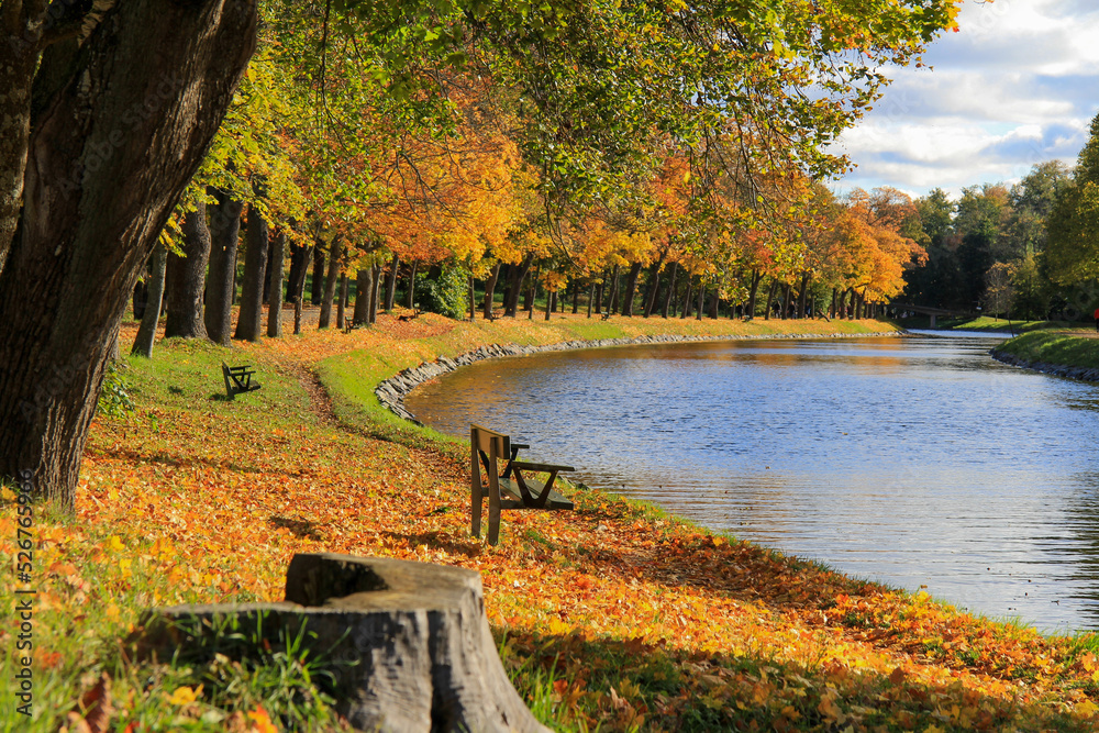 Fall Landscape Backgrounds