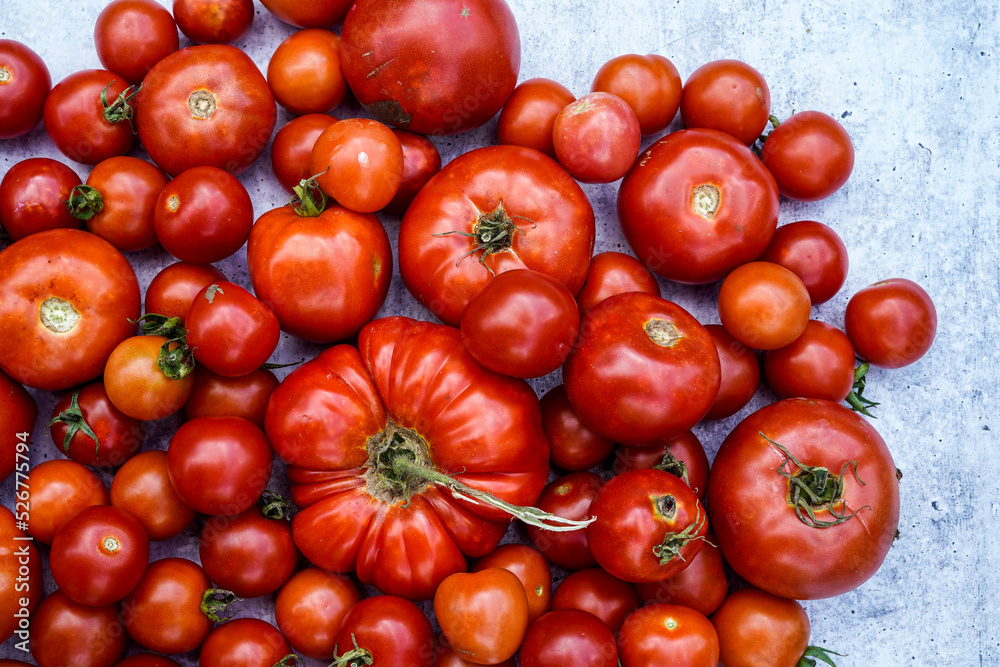 Various sizes of red, homegrown tomatoes on a concrete background ...