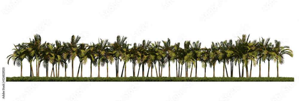3ds rendering image of front view of palm trees on grasses field. Stock ...
