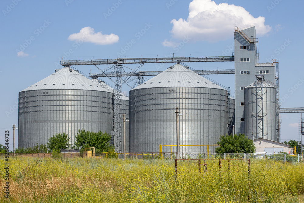 Agricultural Silos. Storage and drying. Storage of crop. Grain elevator ...