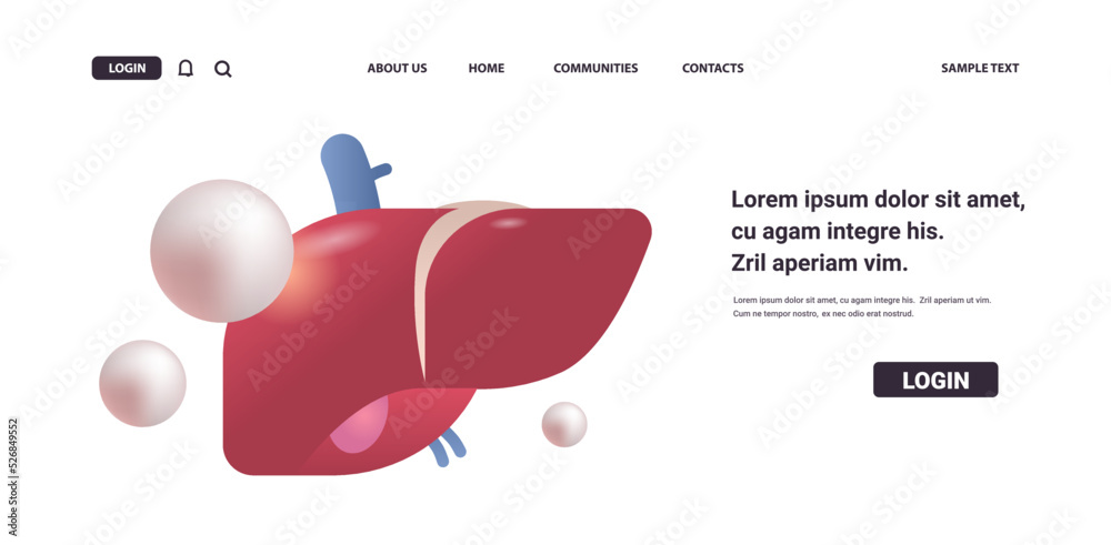 anatomical liver icon human body internal organ anatomy medicine ...