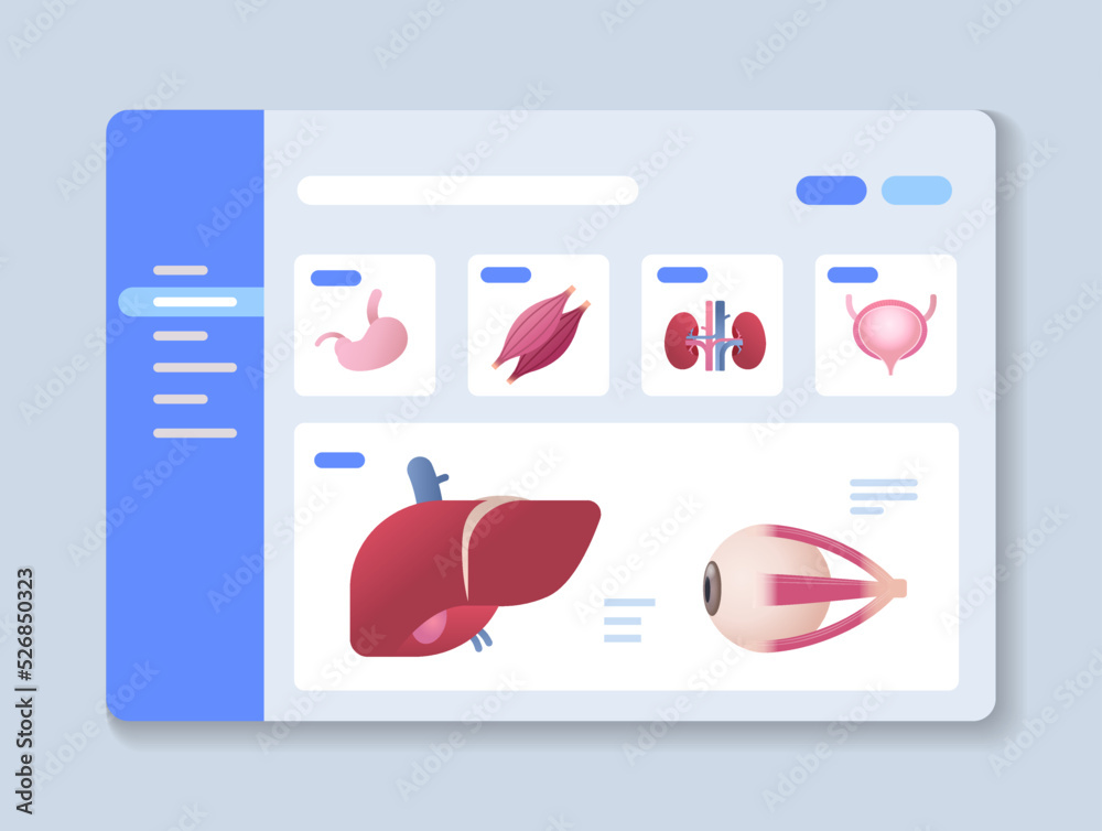 set anatomical human body internal organs set on digital screen anatomy ...
