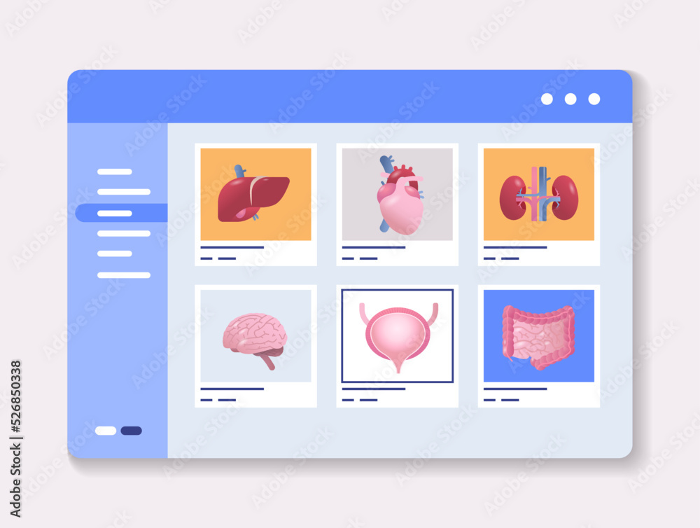 set anatomical human body internal organs set on digital screen anatomy ...