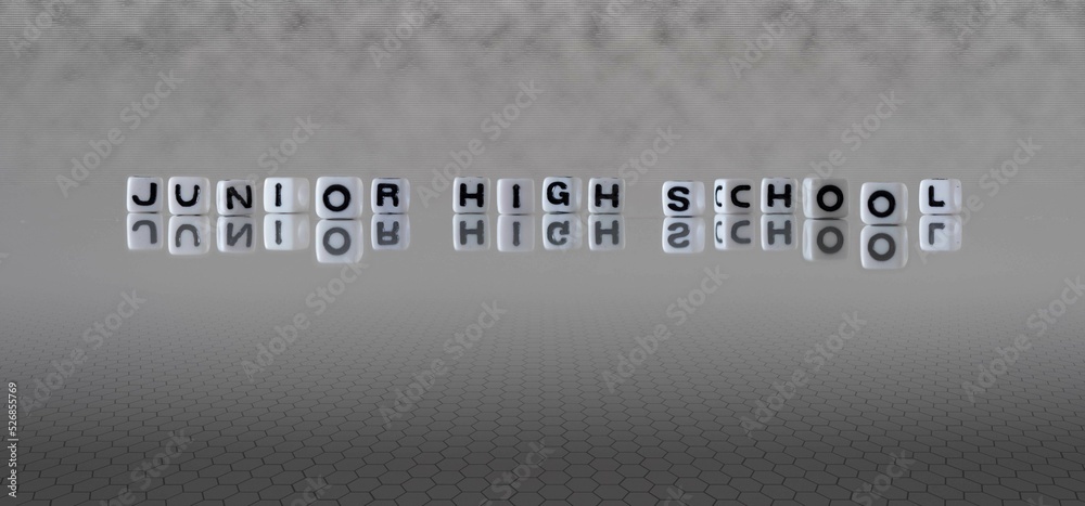 junior high school word or concept represented by black and white ...