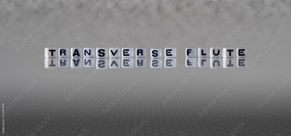 transverse flute word or concept represented by black and white letter ...